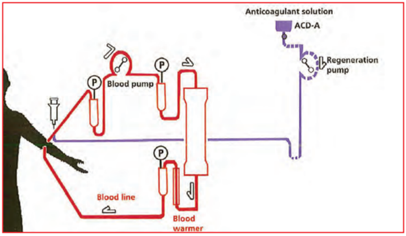 Apheresis Awareness Day 2023 - FH Europe Foundation